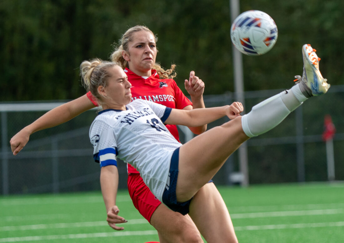 Jaelynn Helmrich scores game-winner in OT as Williamsport girls defeat ...